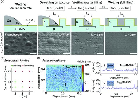 Substrate Engineering For Optimal Gallium Wetting A Cross‐sectional