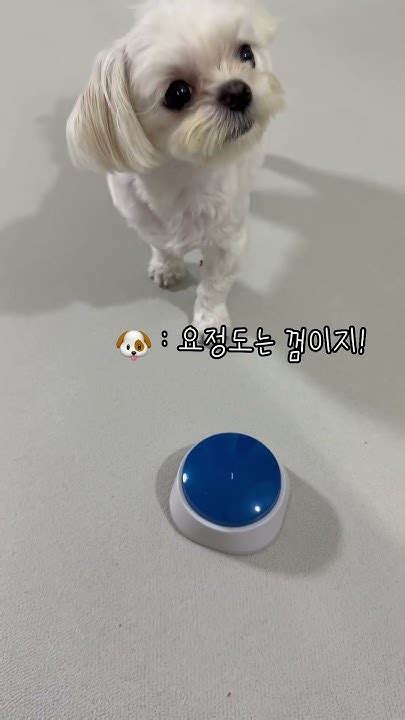 까까 그냥 주면 안댈까 Youtube