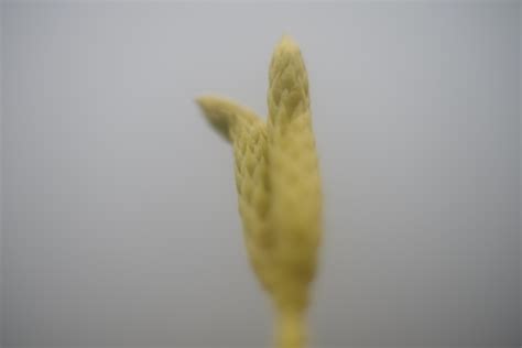 There Is A Difference Between Thoughtless And Not Thinking