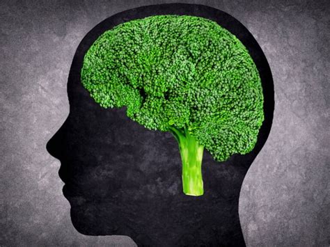 What Is Sulforaphane Benefits And Side Effects Old School Labs