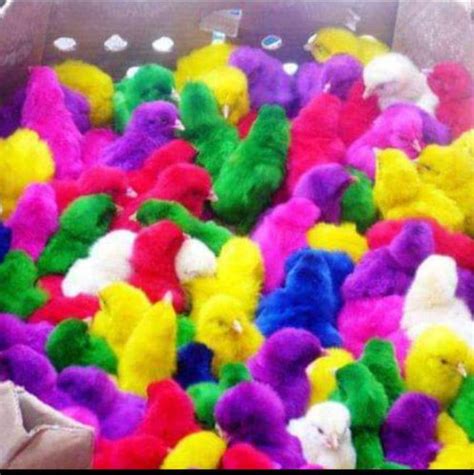 ~~~multiple Styles~~~ Added A New ~~~multiple Styles~~~