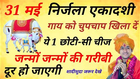 31 मई निर्जला एकादशी गाय को खिला दें ये 1 चीज पूरी साल पैसा खींचा चला