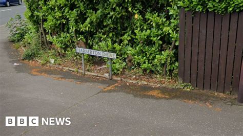 South Belfast Man 43 Charged Over £300000 Suspected Cannabis Find