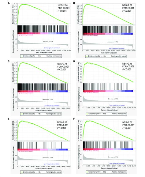 Gene Set Enrichment Analysis Showed That Cd38 Expression Is Involved
