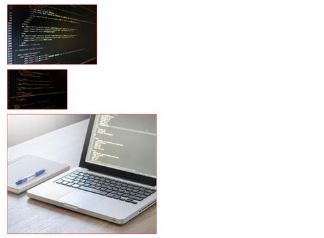 Css Image Size At Tamara Wickline Blog