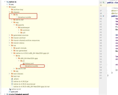 directentrylogger s tests fail on mac by design should be skipped