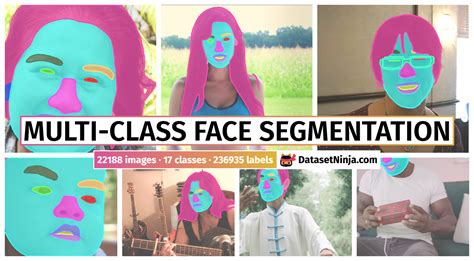 Multi Class Face Segmentation Dataset Ninja