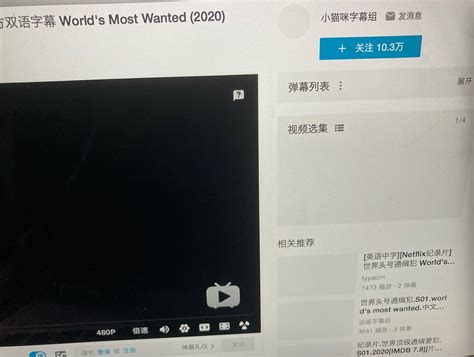 safari无法显示部分网页内容 Apple 社区