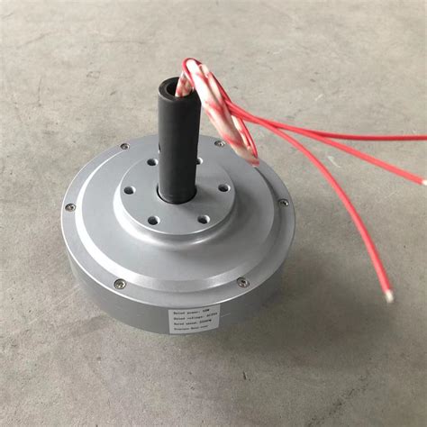 200w 750rpm Small Wind Generator Permanent Magnet Generator Axial Flux Permanent Magnet