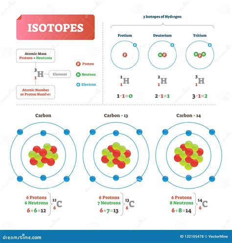 Isotope Vector Illustration Labeled Scheme With Hydrogen Atomic
