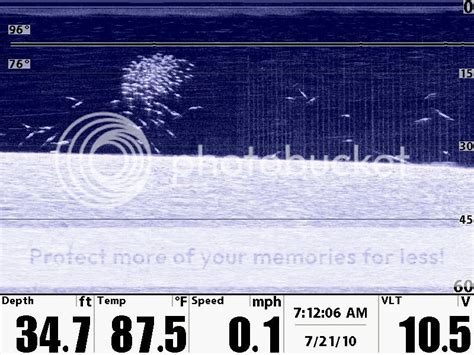Sonar Porn Tons Of Humminbird Images Texas Fishing Forum