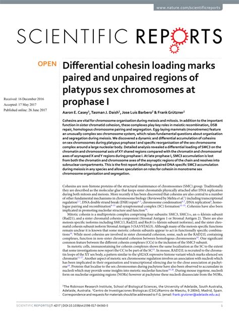 Pdf Differential Cohesin Loading Marks Paired And Unpaired Regions Of Platypus Sex Chromosomes
