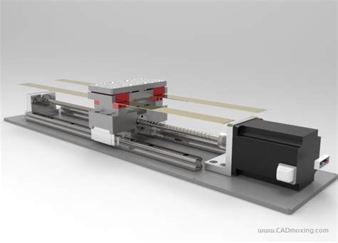 Cad D