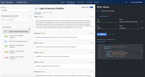 D Pannage Des Actions Sur Les Serveurs Imm Via Des Requ Tes Api