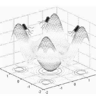 A Bacterial Swarm On A Multi Modal Objective Function Surface