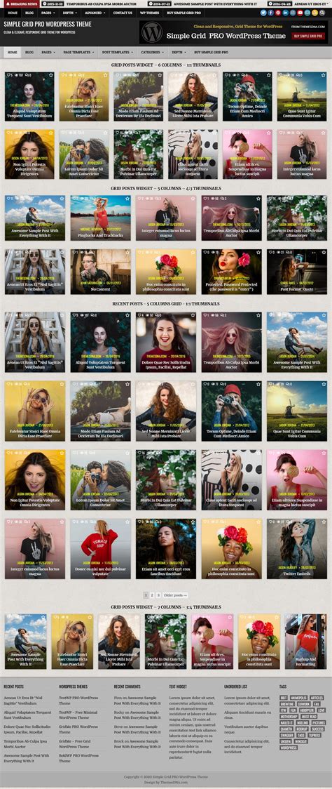 Simple Grid PRO WordPress Theme ThemesDNA