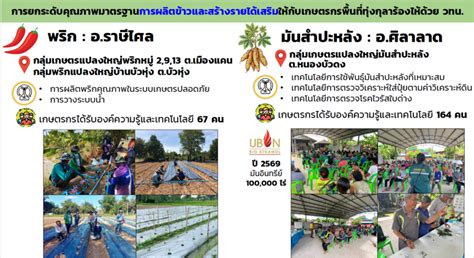 การยกระดบคณภาพมาตรฐานการผลตขาวและสรางรายไดเสรมใหกบเกษตรกร