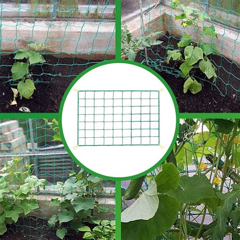 Darzheoy Trellis Netting Climbing Plant Support Net Garden Pea Bean