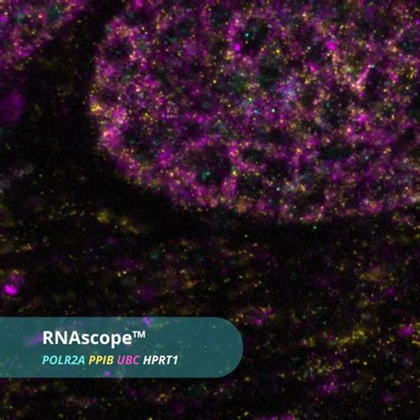 Lunaphore On Linkedin Multiomics