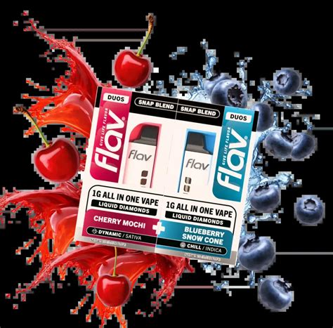 Snap Duo Vapes Combo Premium Oil Rechargable All In Ones