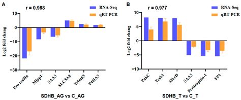 Identification Of Male Sex Related Genes Regulated By Sdhb In Macrobrachium Nipponense Based On