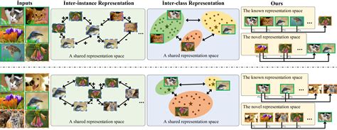 Continual Novel Class Discovery Via Feature Enhancement And Adaptation