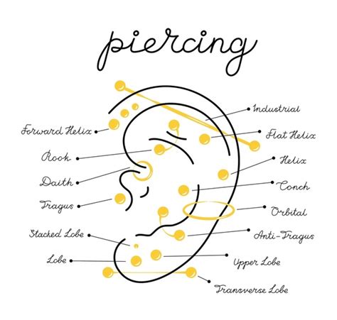 Black Skin Piercing Over 337 Royalty Free Licensable Stock Vectors