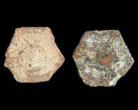 Aragonite And Copper Pseudomorph After Aragonite Before And After Set