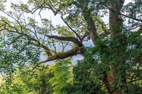 贛縣樟坑 每日頭條