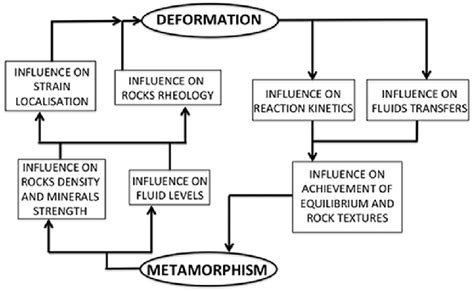 Graphical Chart Showing The Links Between Metamorphic And Tectonic Download Scientific Diagram