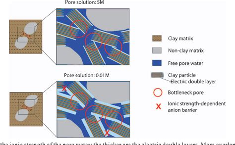 Figure 5 From Pore Geometry As A Limiting Factor For Anion Diffusion In Argillaceous Rocks
