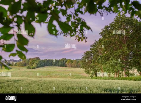 Trees Of All Types And Seasons A Beautiful World Of Differences Trees And Forests Of All Types