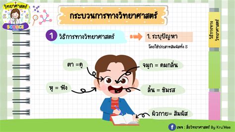 สื่อวิทยาศาสตร์ By Krumee สื่อวิทยาศาสตร์ By Krumee