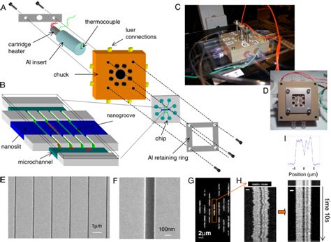 Experimental Setup And Chip Design A Schematic Of How The Chip Download Scientific Diagram
