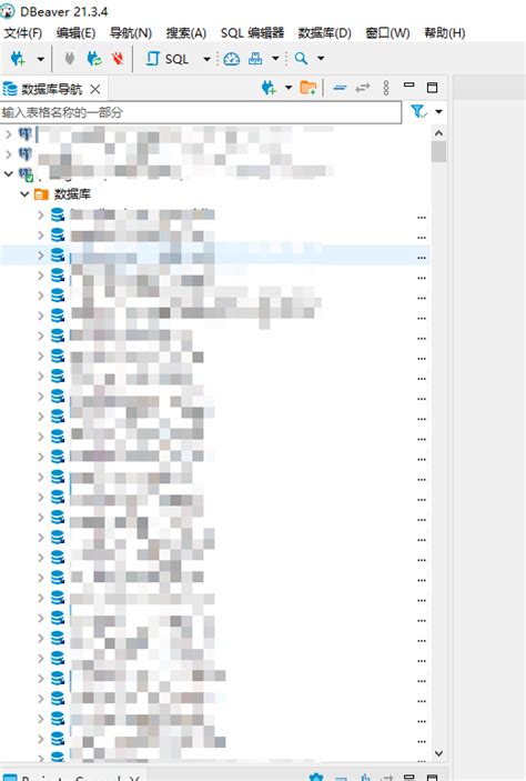 Dbeaver 2134连接pg数据库数据库孤王帝皇5 Damo开发者矩阵