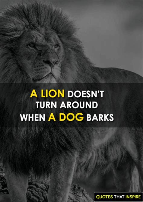 Inspirational Attitude Lion Quotes ShortQuotes Cc