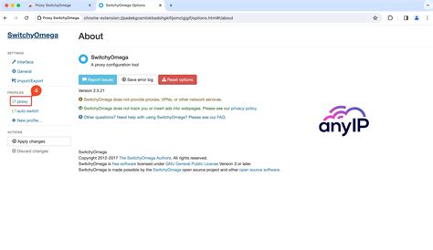 Ultimate Guide To Set Up A Socks5 Proxy In Chrome