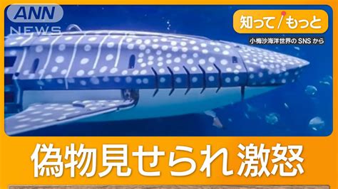 水族館の目玉ジンベエザメ ロボットだった！客激怒 10万人訪問 返金要求”も 中国