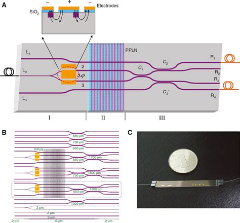 the photonic chip for generating and manipulating entangled