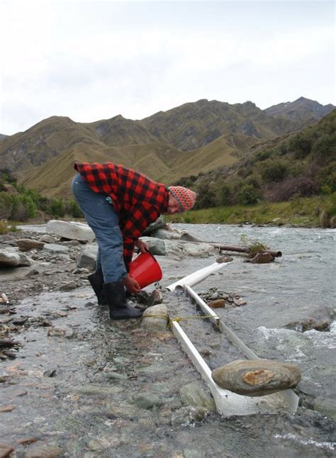 Sex Booze And Penguins Life On Antarctica A Broad Abroad