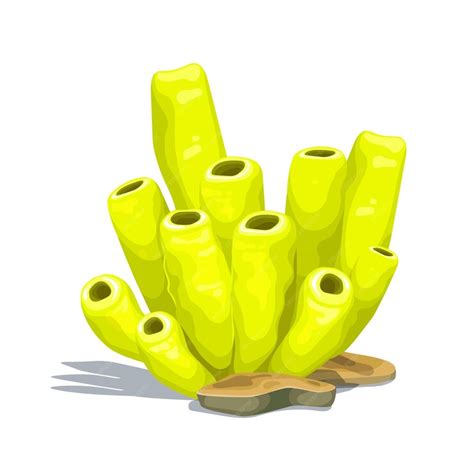 흰색 배경에 고립 된 산호초 노란색 색상 수중 식물 바다 식물 현실적인 예술 클립 아트 해양 및 수족관 자연 해초 해양 및 바다