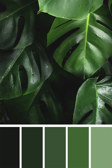 Color Palette Visualizer Preview Color Combinations Color Palette Visualizer Preview Color Combinations