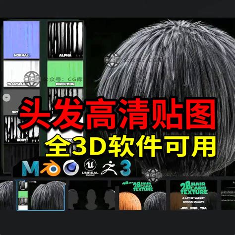 高清头发毛发贴图28套下载全pbr带发型模型 Cg港 官网入口