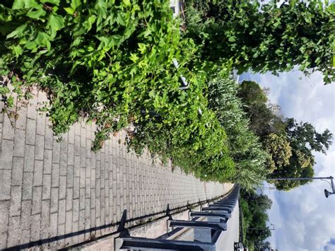 Passaggio Pedonale Sul Cavalcavia Di Viale Mattei Chiuso Dalla