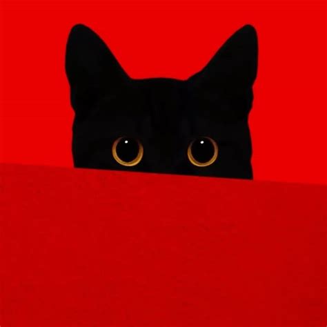 subhadip paul subhadip paul threads say more