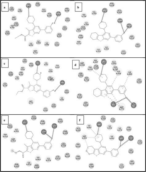 A Docking Pose Of Compound Iiia Showing The Binding Interactions