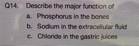 Solved Q Describe The Major Function Of A Phosphorus In Chegg