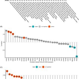 The Genetic Changes Of ARSI A ARSI Mutation Levels In Cancers And