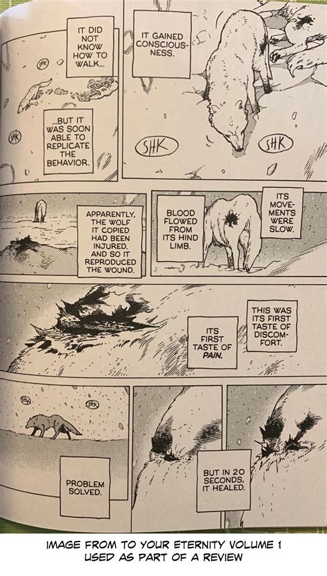 Manga Review To Your Eternity Volume 1