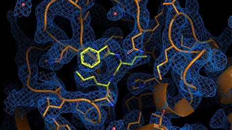 New Paper In Science Journal Zbh Universität Hamburg